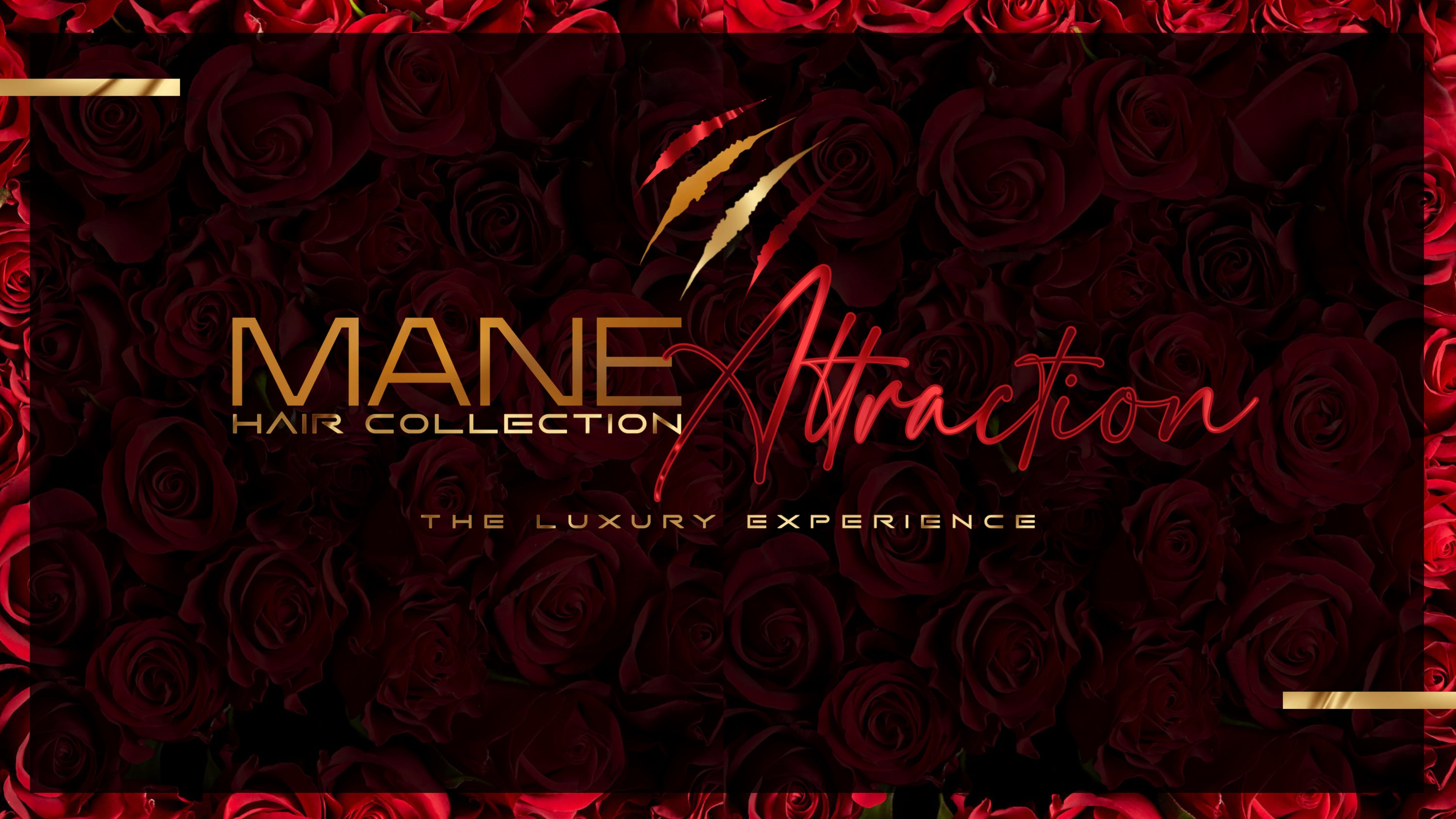 Mane Attraction – Mane Attraction Luxury Hair Collection